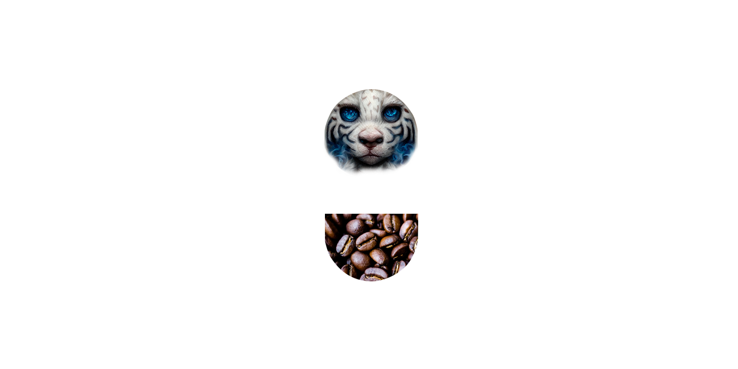 SOB Studio – Content creators and multimedia studio